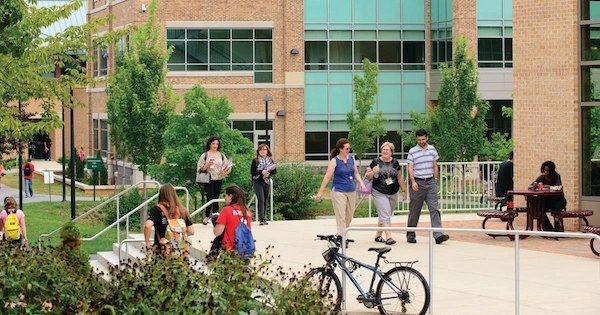 College Canes | College For You