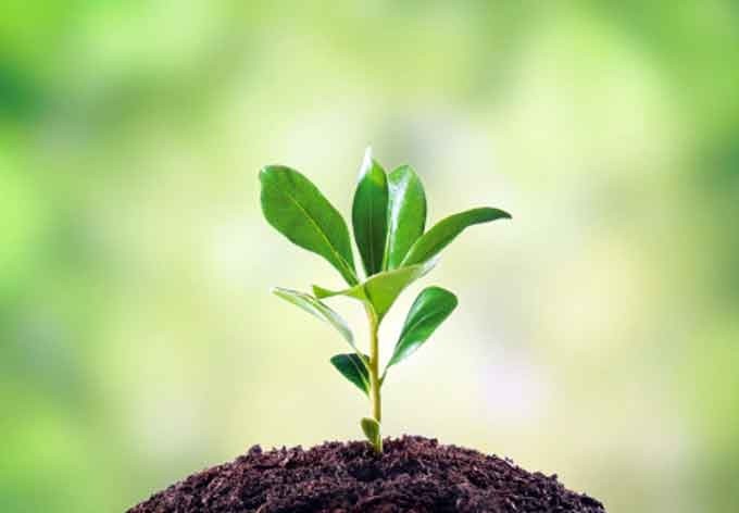 College Canteen Tender | College For You