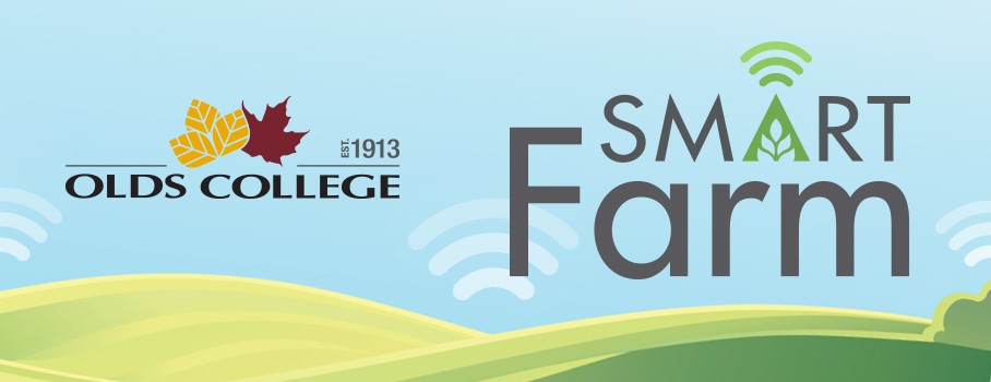 College Xc Distance | College For You